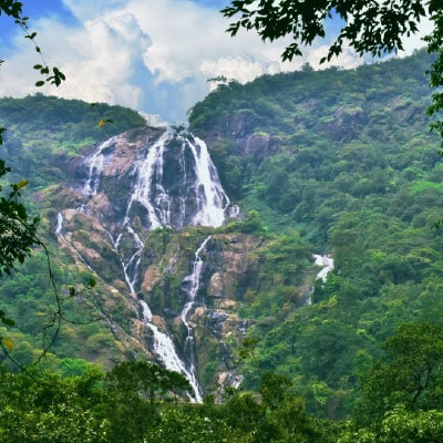 Best Things to Do in Goa: A Traveler’s Guide - Sayujya Yoga