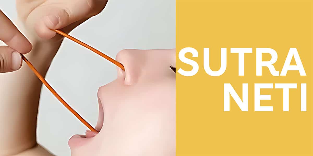 The Power of Sutra Neti: An Ayurvedic Practice for Daily Wellness ...